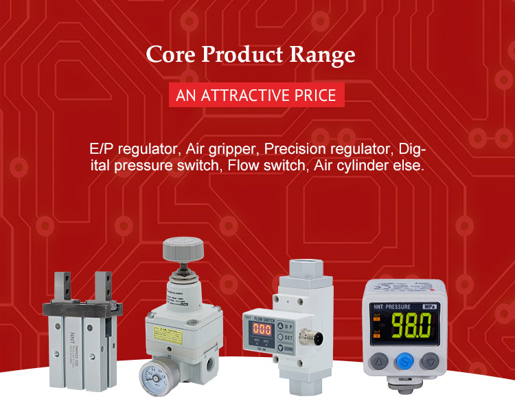 Air Regulator, Digital Pressure Flow Sensor Manufacturer-NNT